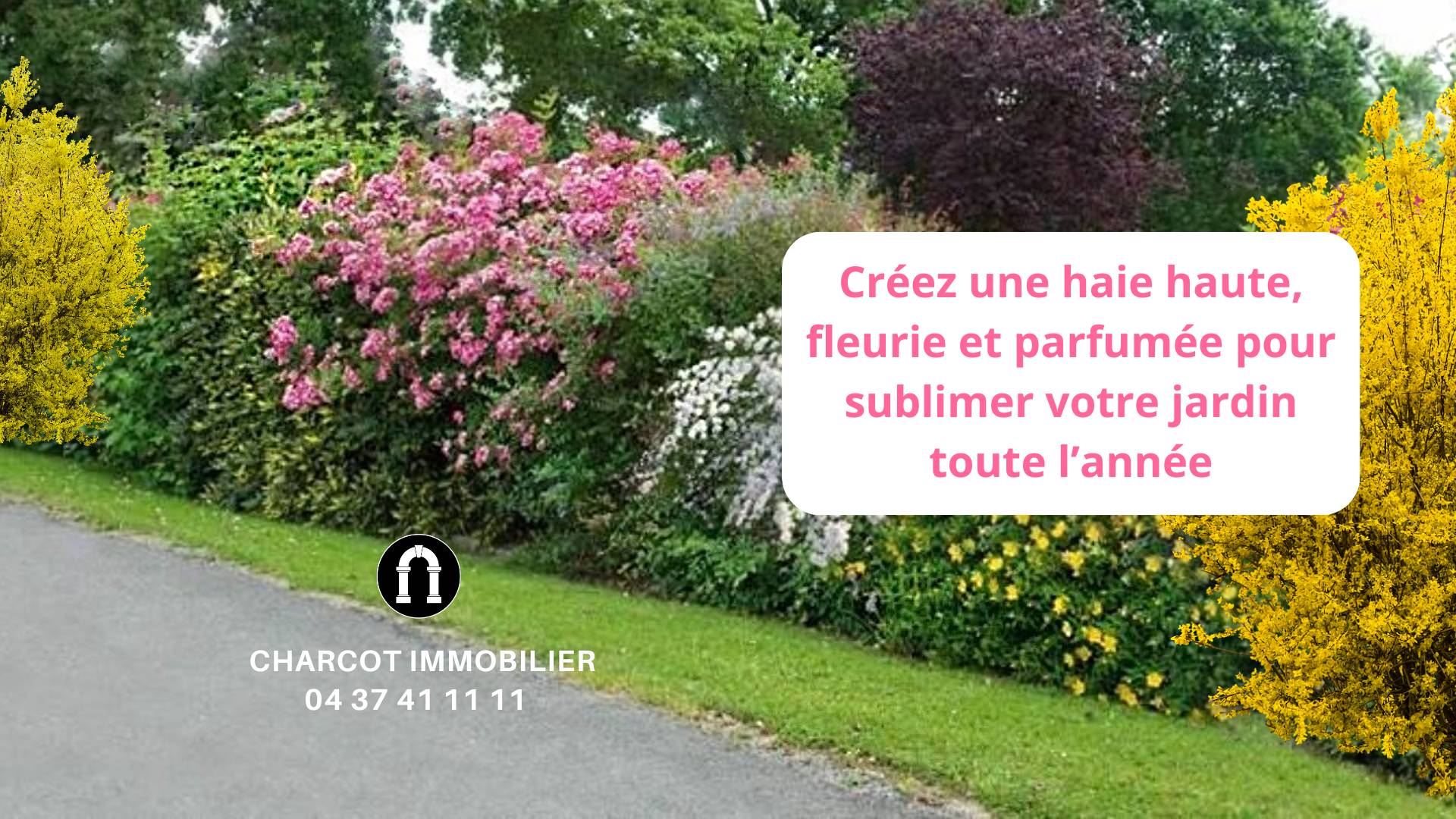 Créez une haie haute, fleurie et parfumée pour sublimer votre jardin ...